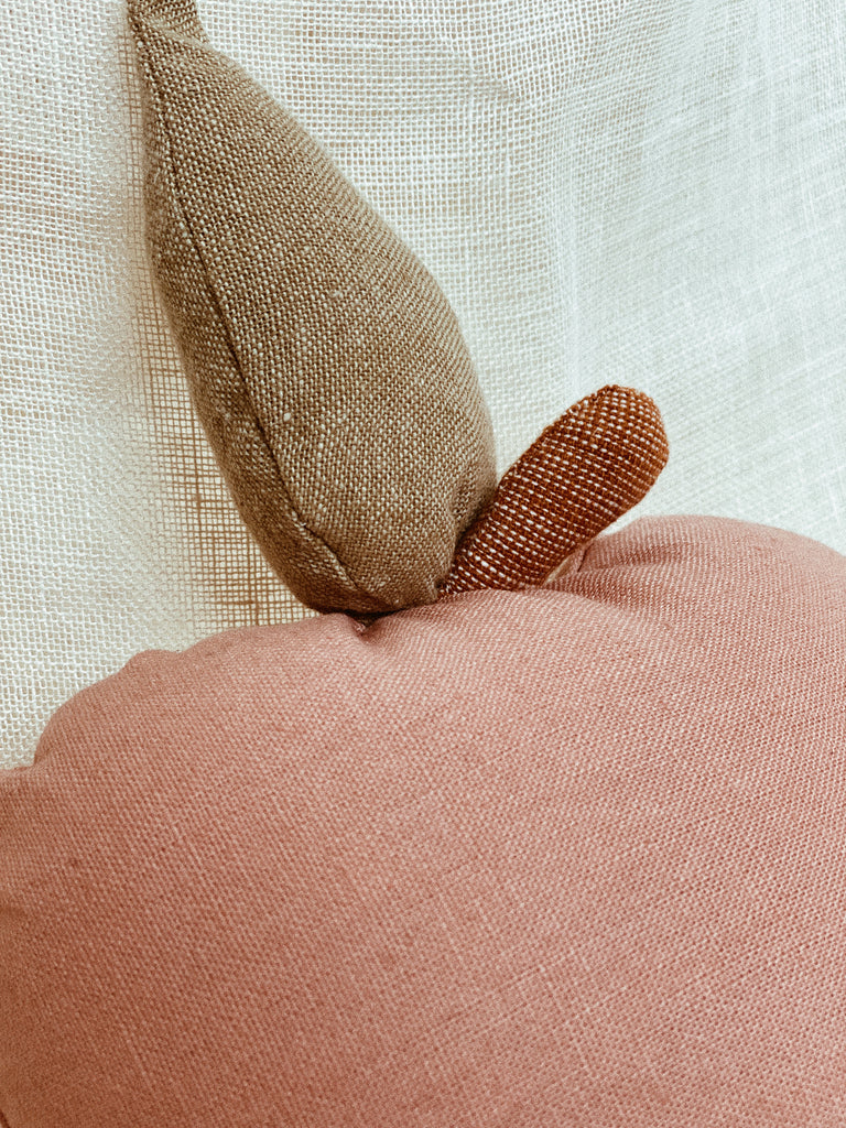Apple Fruit Rattle – Ceres Studio