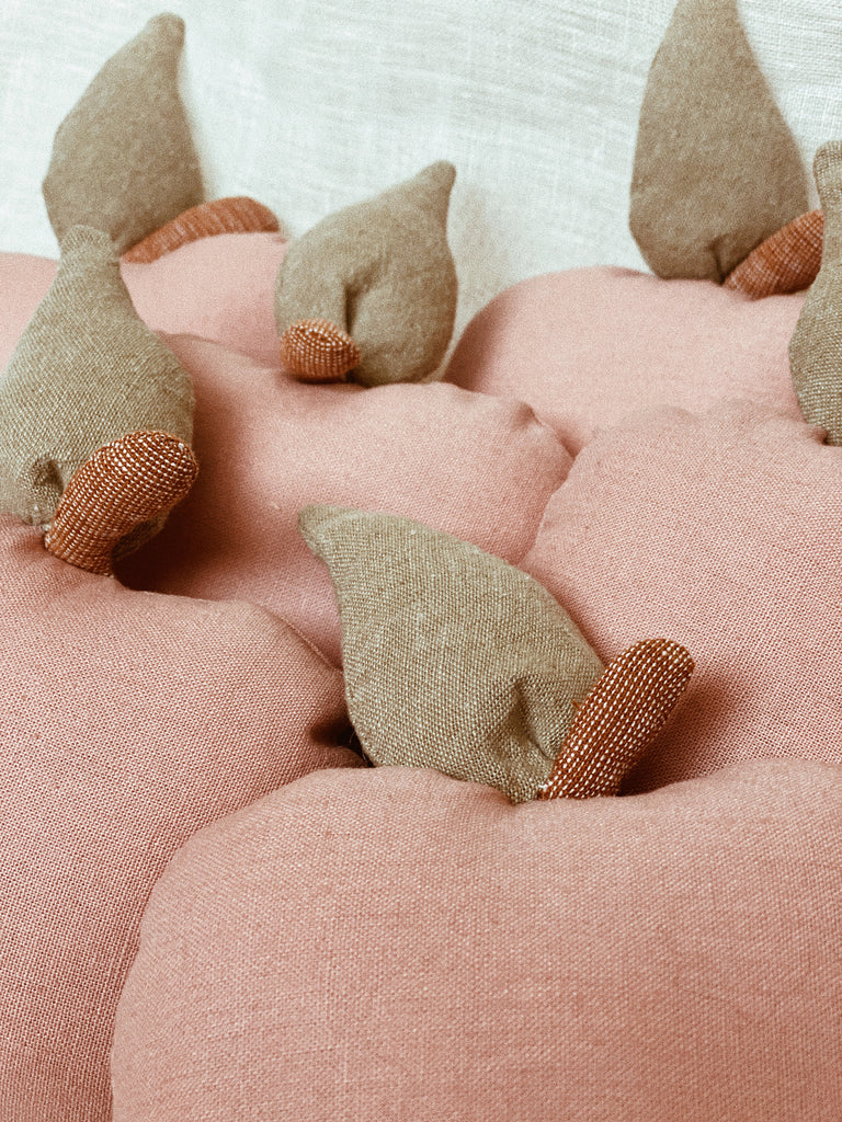 Apple Fruit Rattle – Ceres Studio